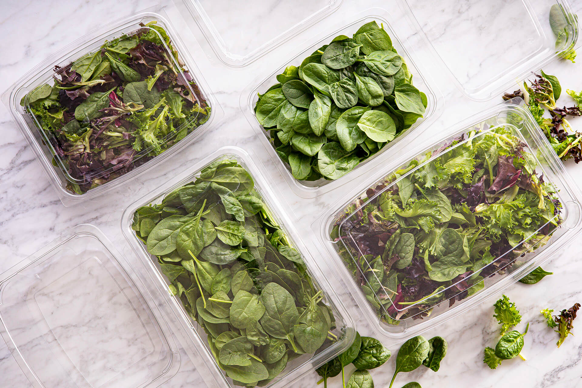 Herb, Tender Leaf & Fresh Cut Packaging | EasyPak